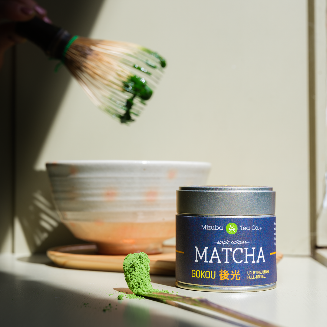 Gokou Matcha | Singular Cultivar Green Tea | Mizuba Tea Co.