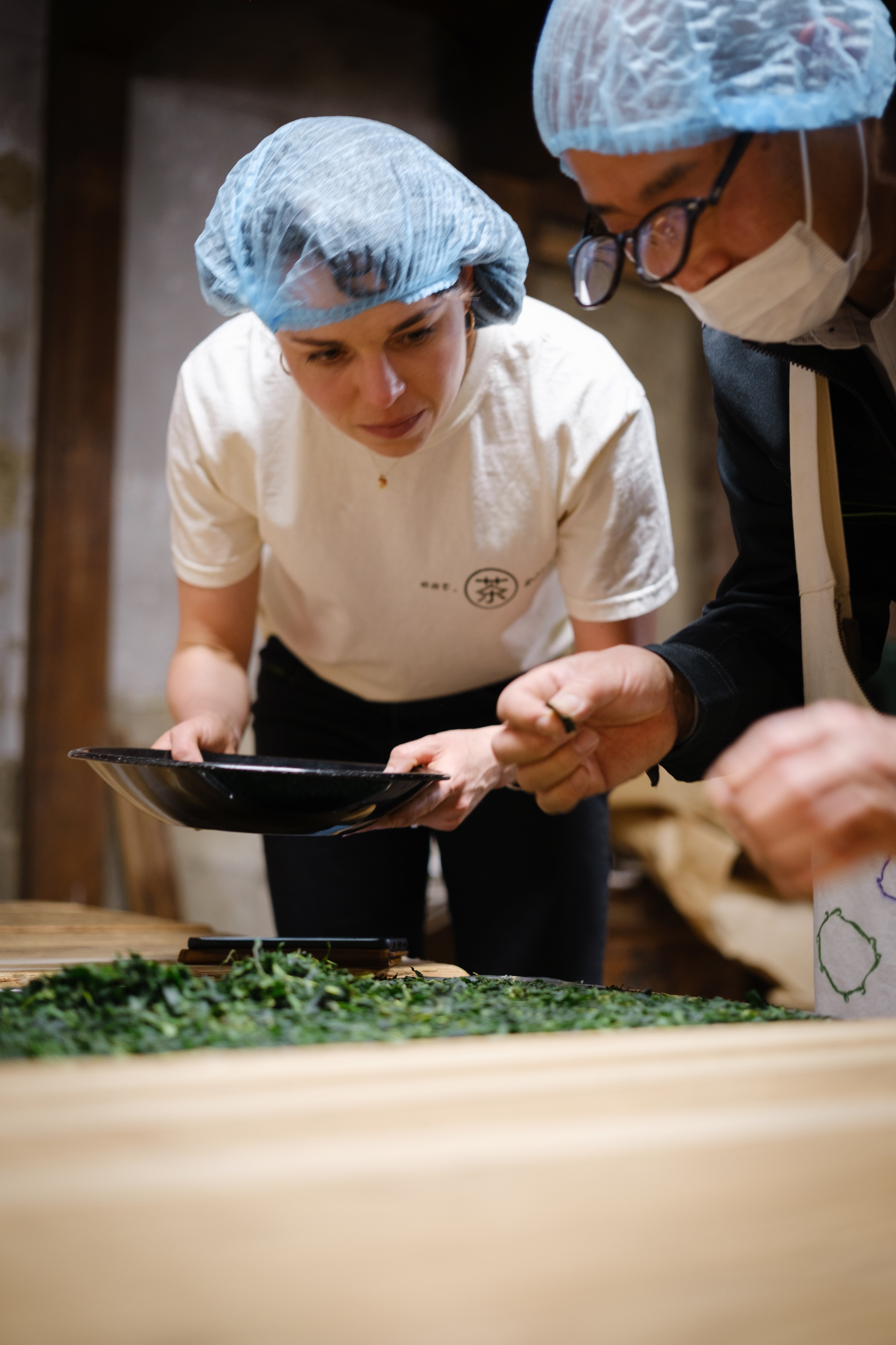 What is Matcha? Learn about the Benefits of Green Tea | Mizuba Tea Co.